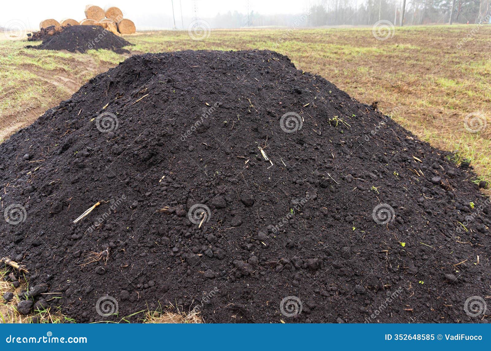 Black Earth Texture, Humus, Fertile Soil. Background Stock Image ...