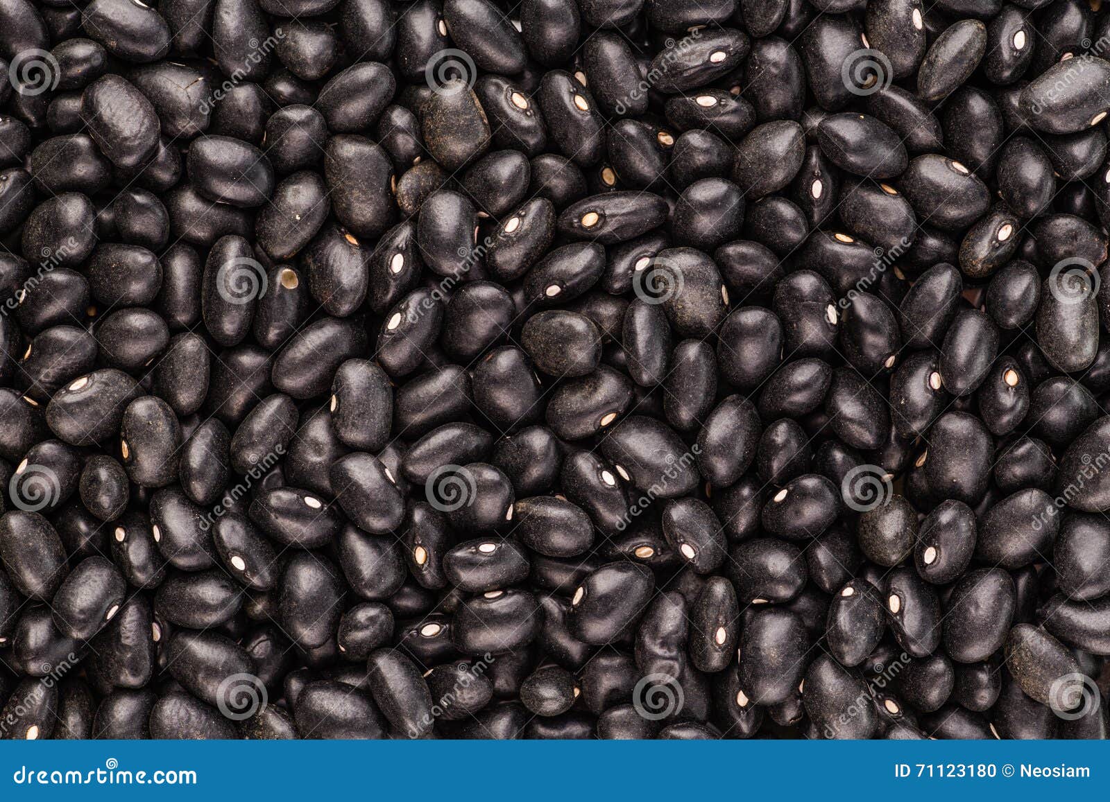 Black eye pea stock photo. Image of lentils, cereal, grain - 71123180
