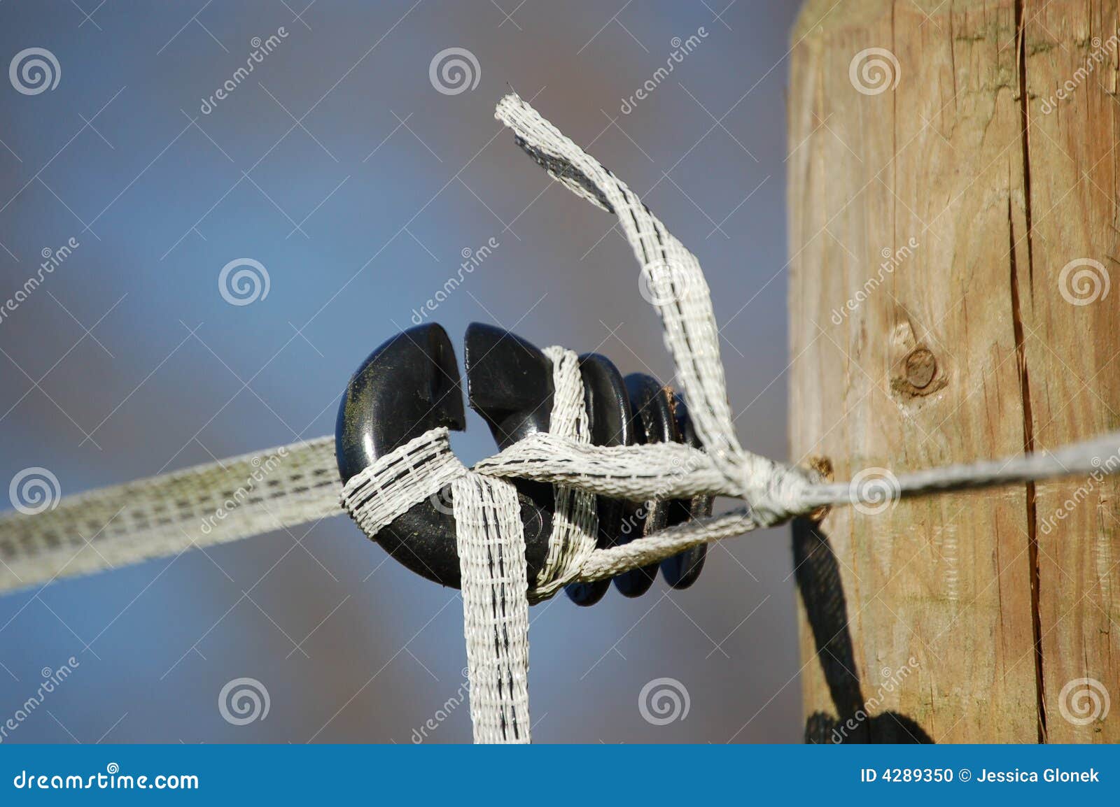 Black Eye with White Ribbon Stock Photo - Image of fence, object: 4289350