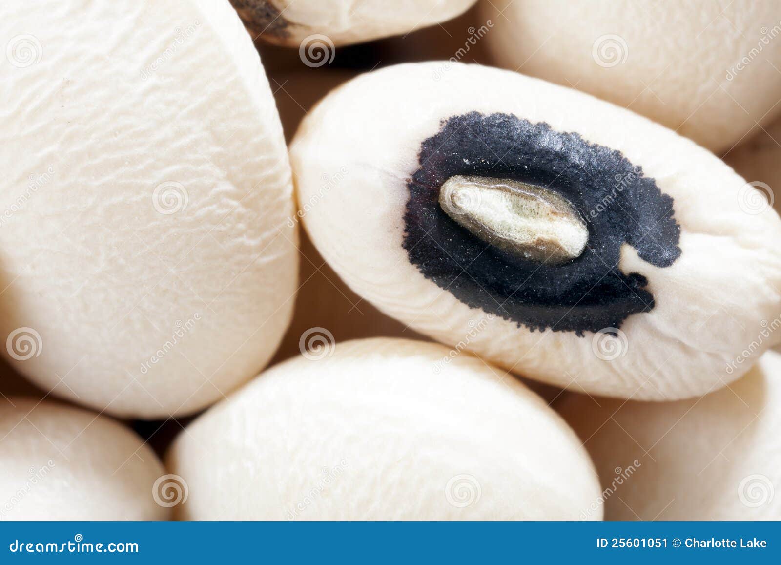 Black-Eyed Pea stock image. Image of vegetarian, vegetable - 25601051