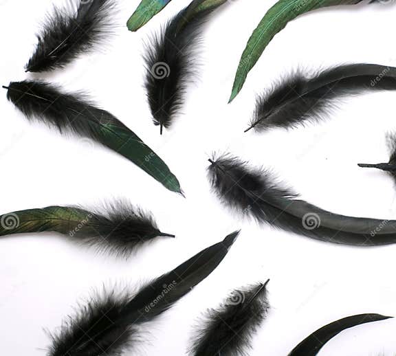 Chirography stock image. Image of inky, isolate, chirographer - 19094625