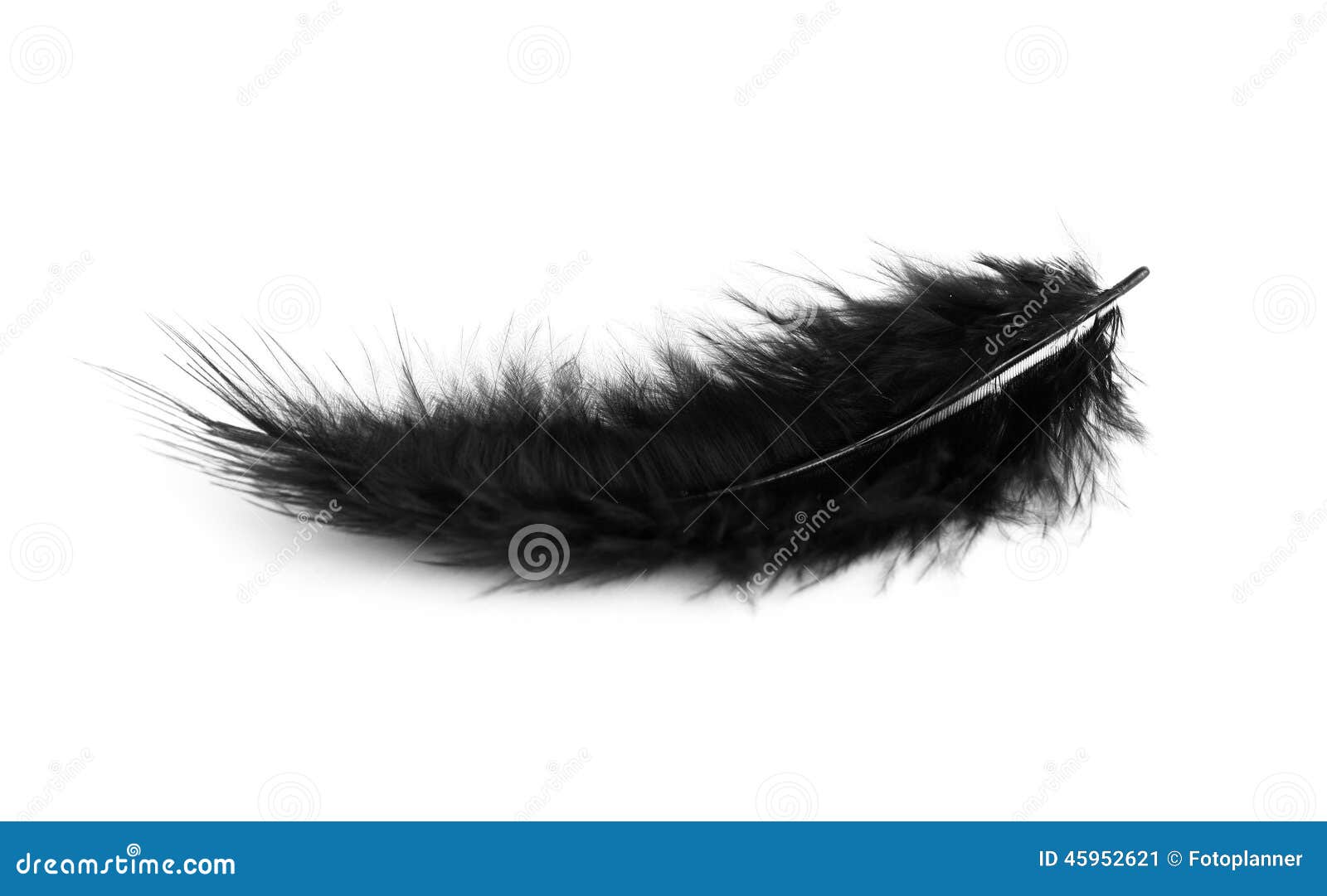 Black feather stock image. Image of soft, light, feather - 45952621