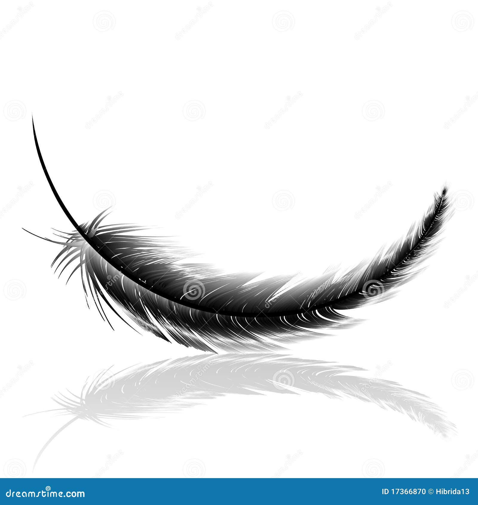 Black Feather Shadow Stock Illustrations – 1,696 Black Feather Shadow ...