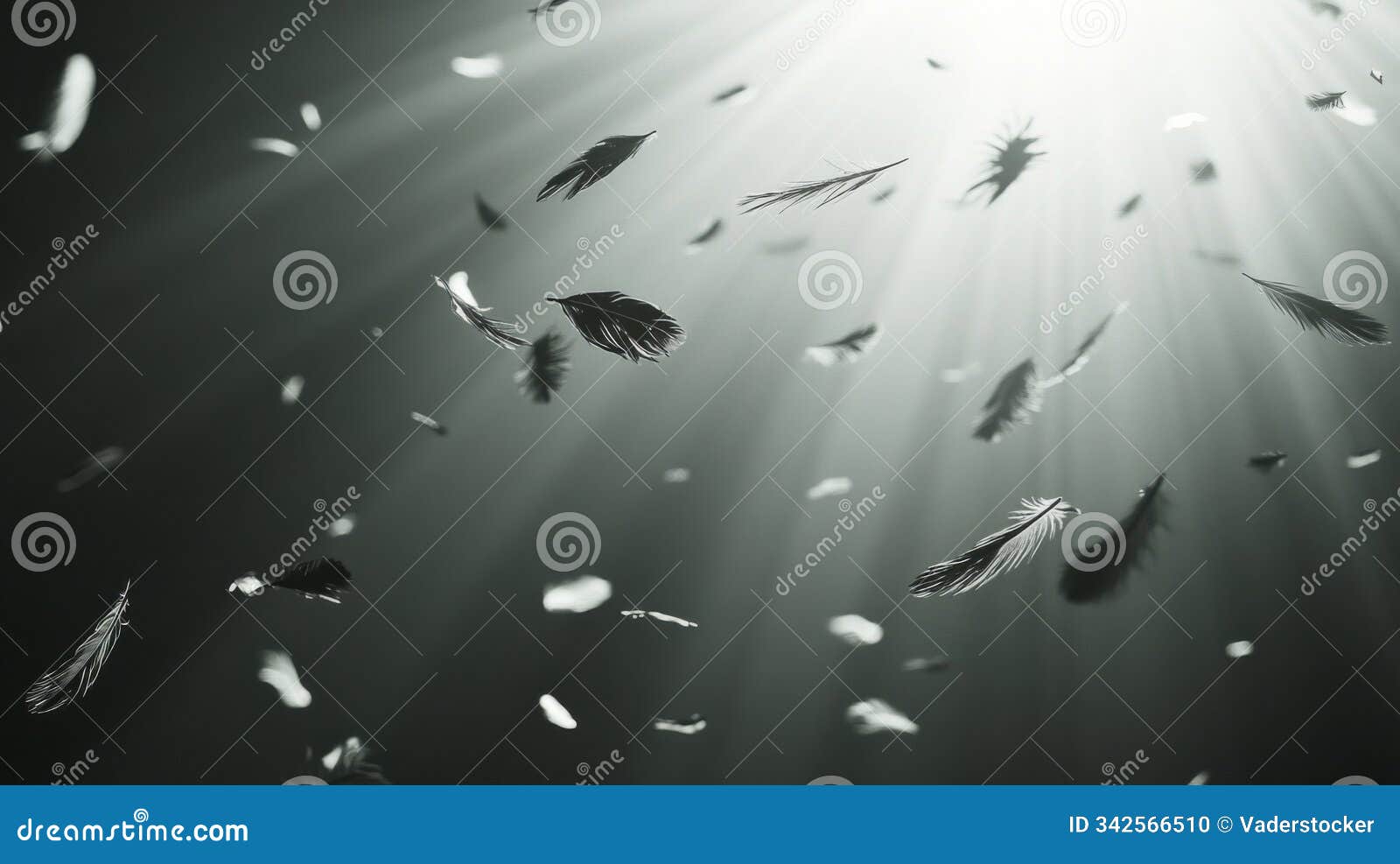 Black Feathers Falling through Light Beams Stock Illustration - Illustration of nature, black ...