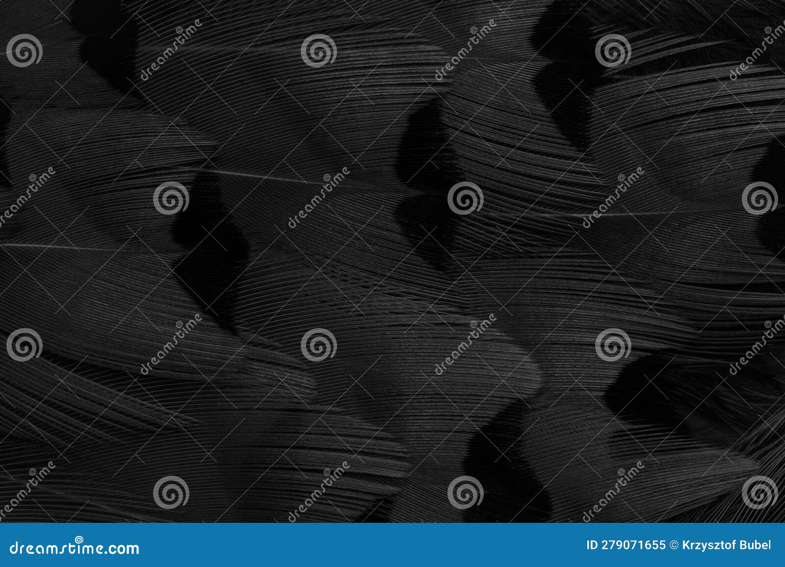 Black Feathers with an Interesting Pattern. Background Stock Image ...