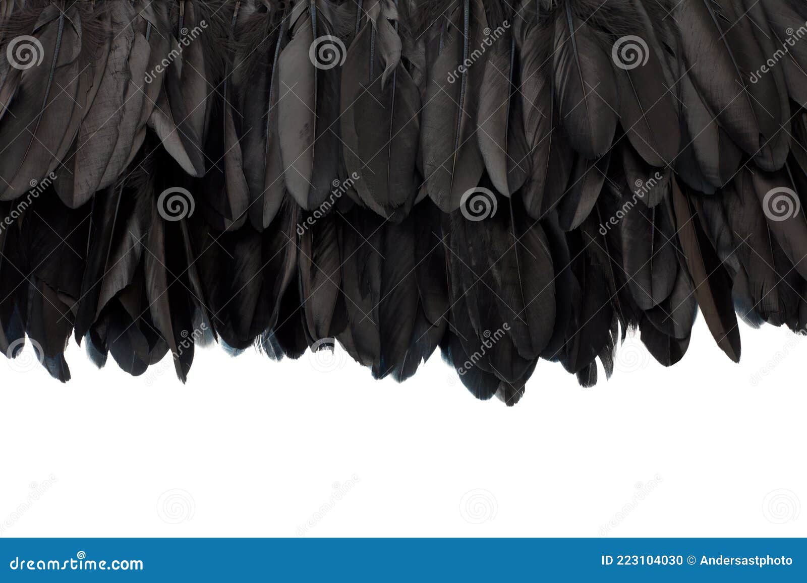 Black Feathers Texture Background on White, Clipping Path Stock Photo ...