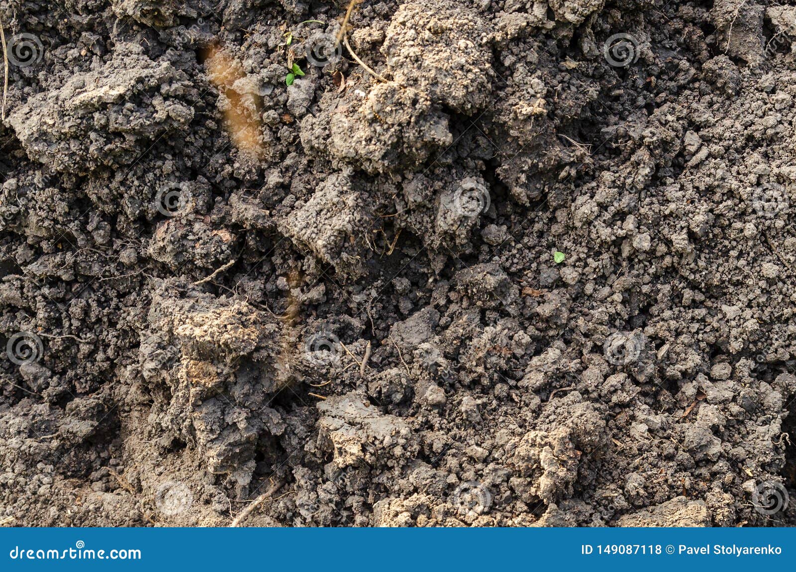 Black Fertile Ground Texture Stock Photo | CartoonDealer.com #149087118