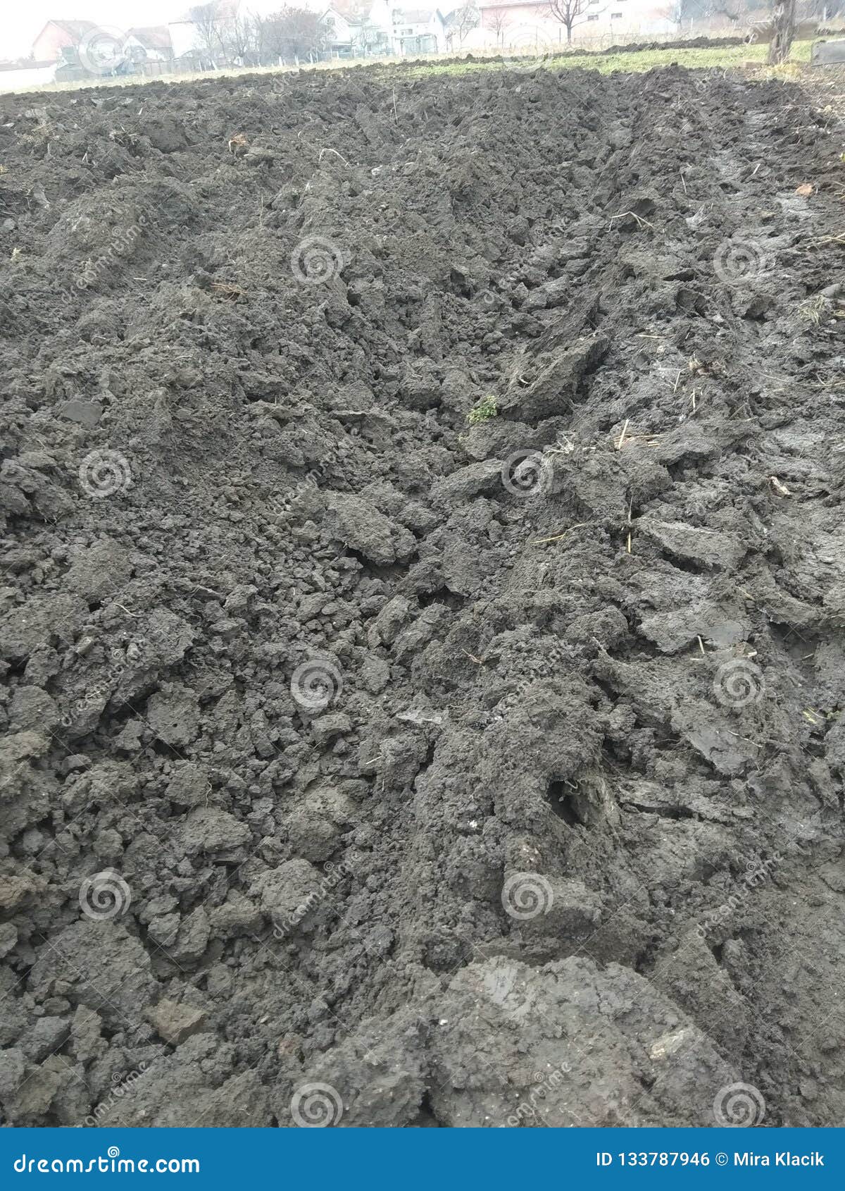 Black soil stock photo. Image of fertile, black, nature - 133787946