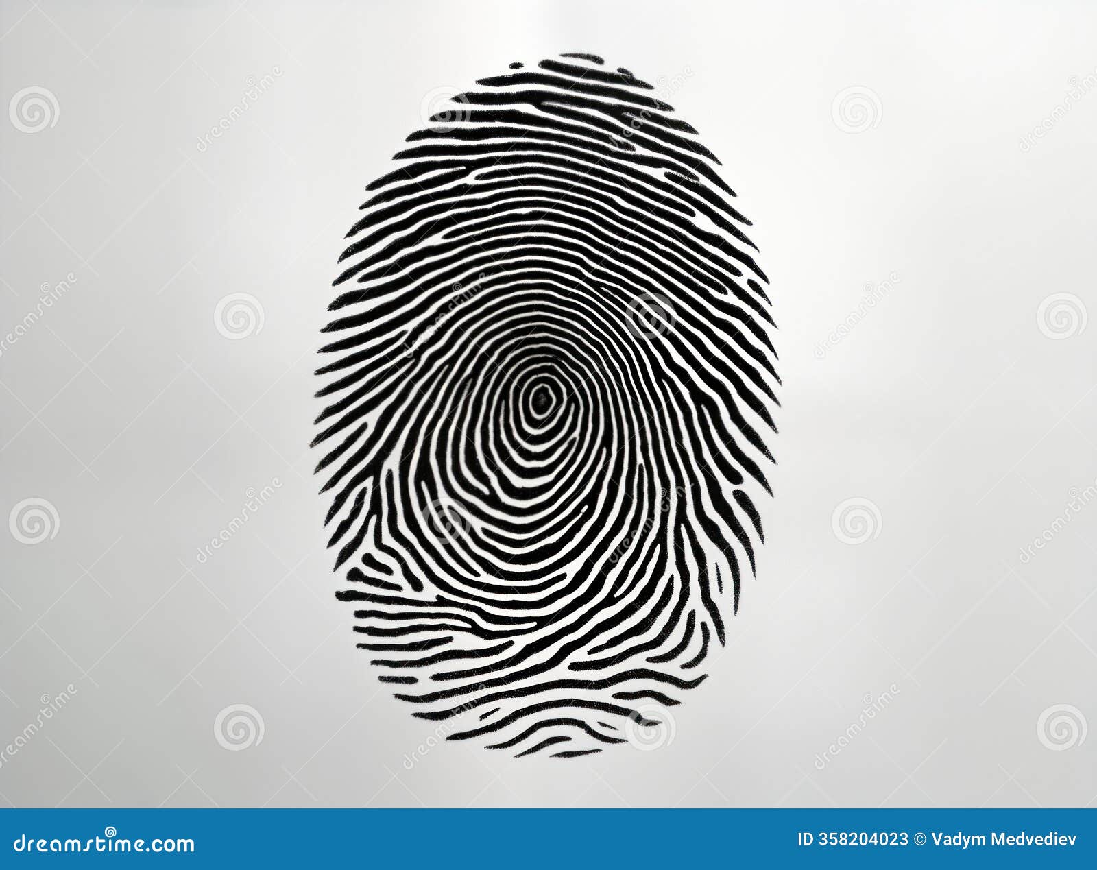 Black Fingerprint Isolated on White Background. Top View. Detailed ...