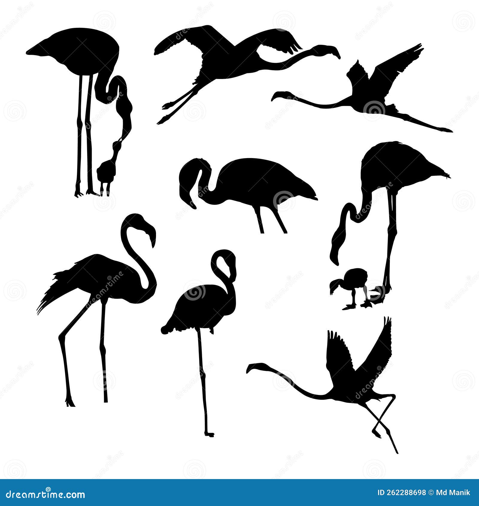 Black Flamingo Vector Illustrator Stock Vector - Illustration of ...
