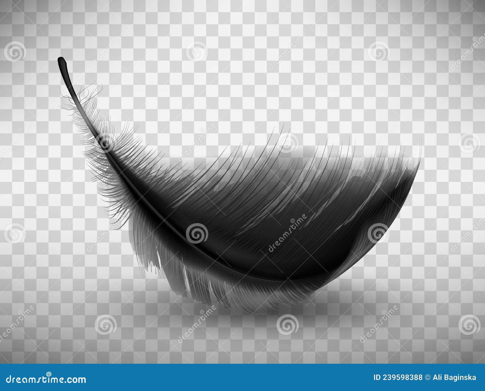 Black Fluffy Feather with Shadow Realistic Stock Vector - Illustration ...