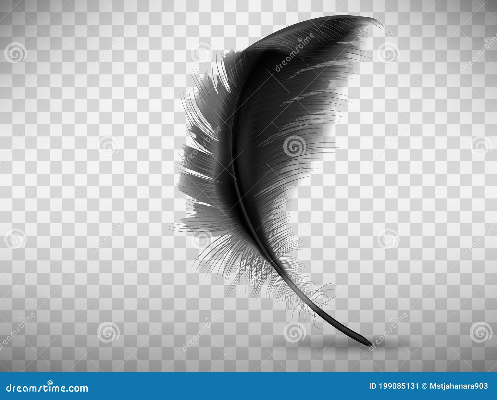 Black Fluffy Feather with Shadow Realistic Stock Vector - Illustration ...