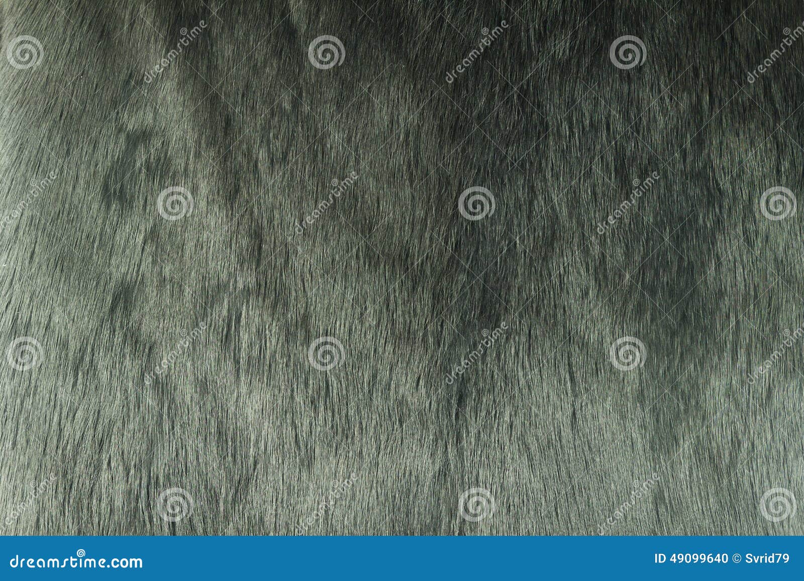 Black fluffy rabbit fur. stock photo. Image of dark, black - 49099640