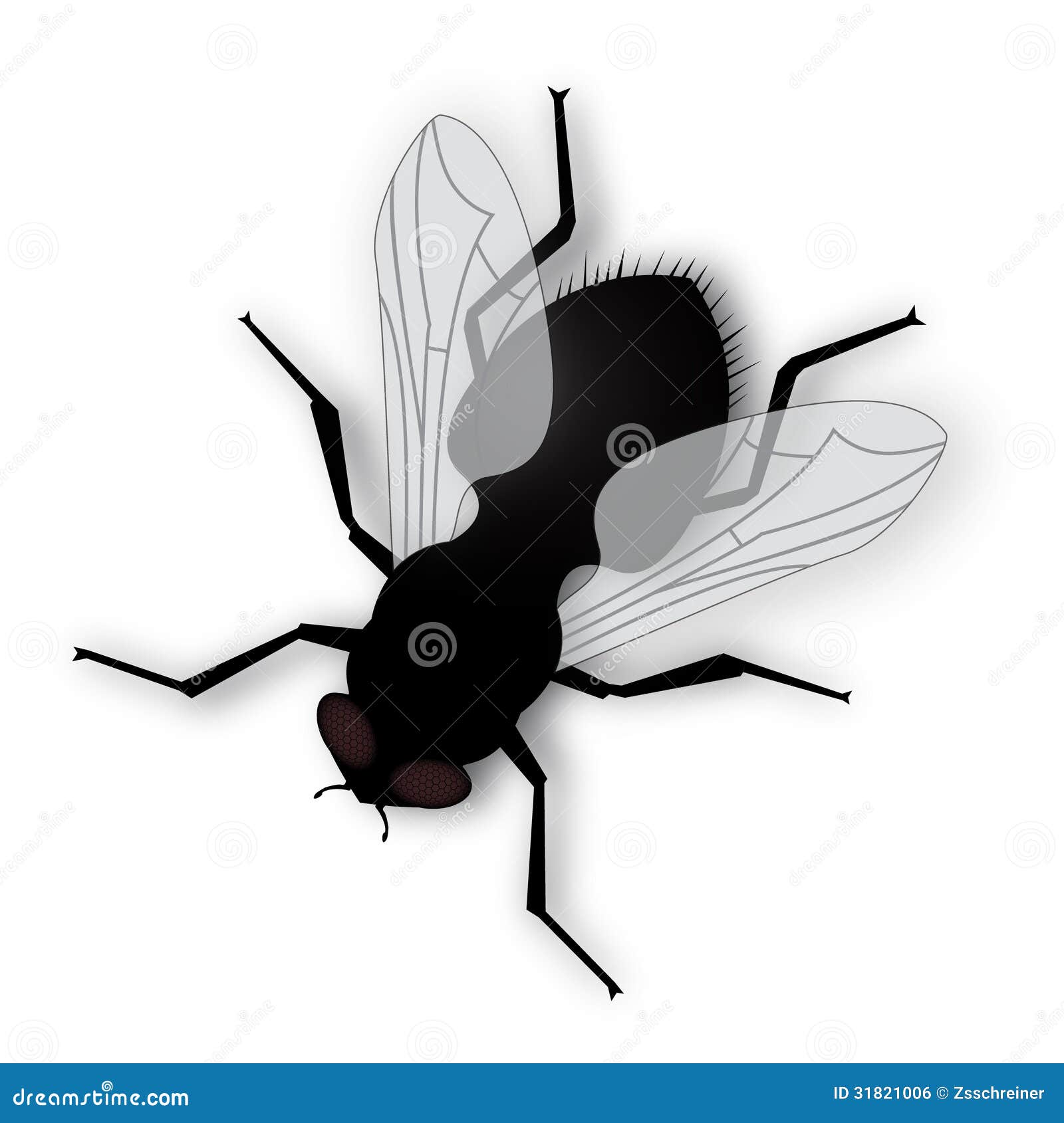 Blowfly Cartoons, Illustrations & Vector Stock Images - 42 Pictures to ...