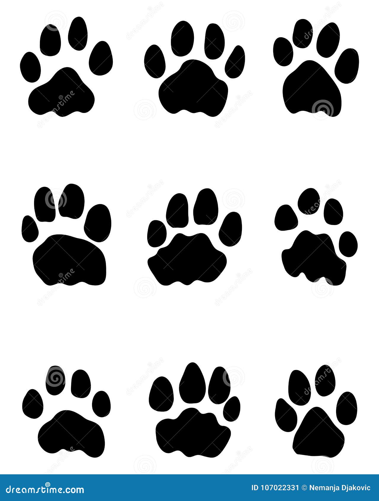 Lions Walk Cycle Animation Frame, Frame By Frame 2d Animation Royalty ...