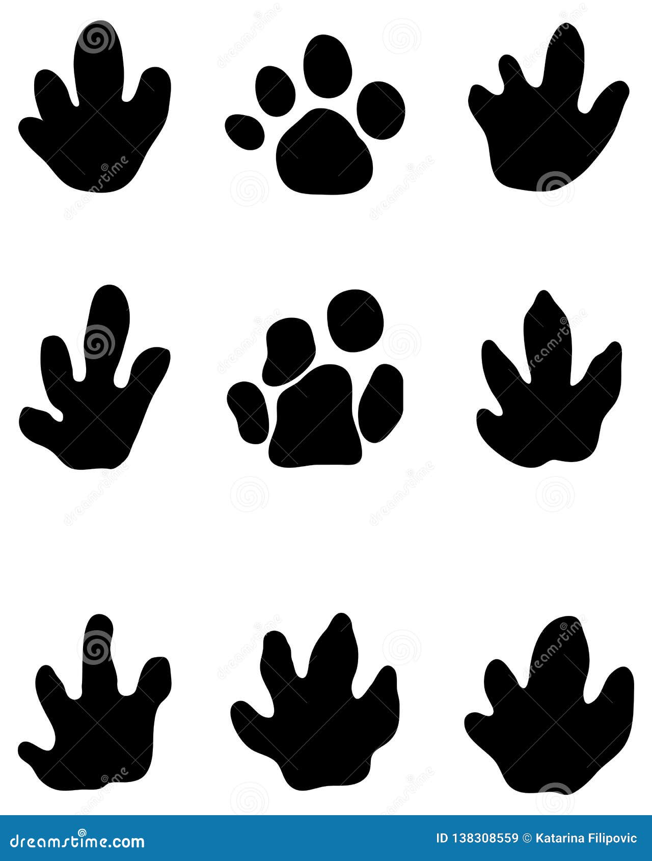 Tapir Footprint. Tapir Track. Herbivorous Animals From The Order Of ...