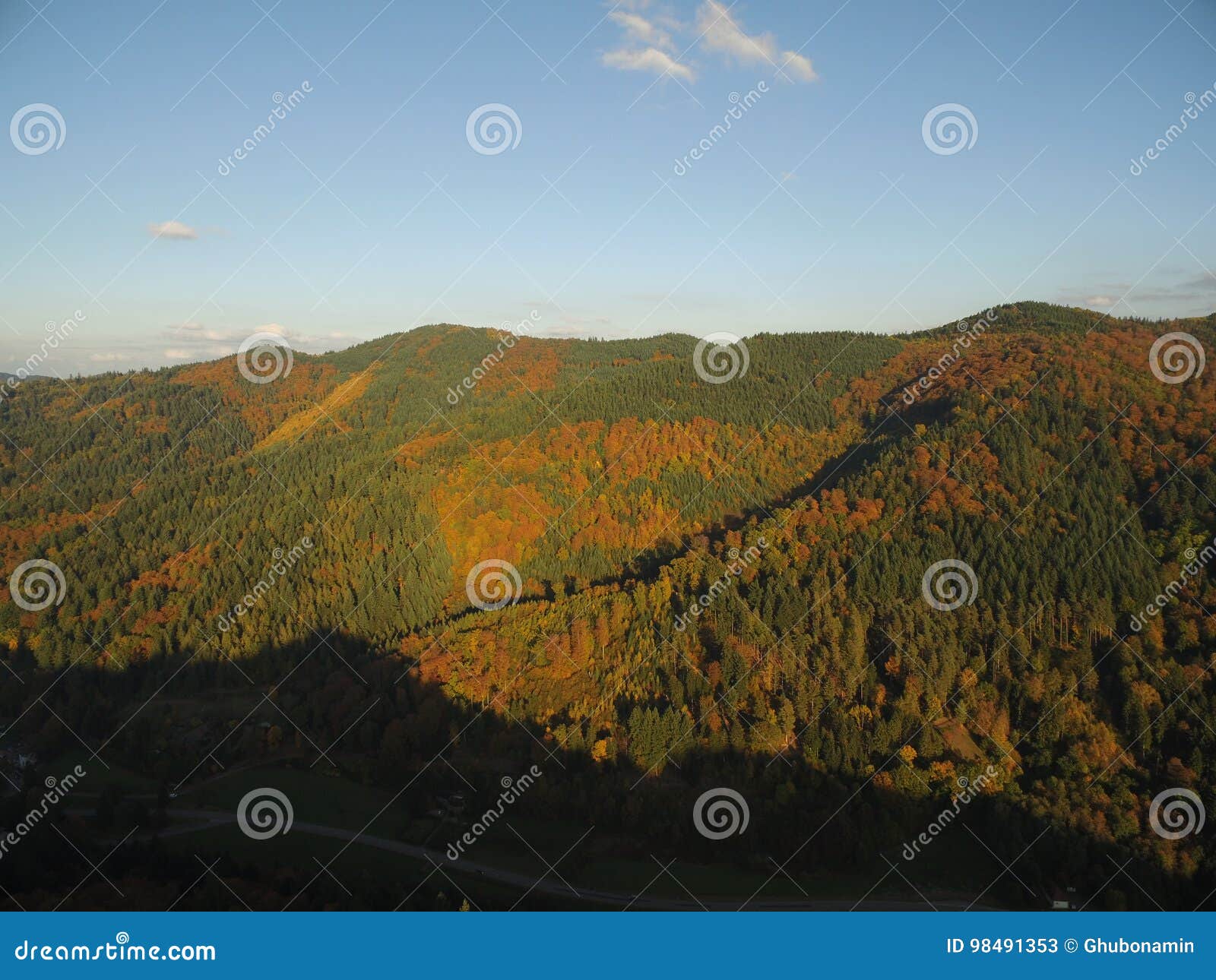 Black forest at autumn stock image. Image of forest, journey - 98491353
