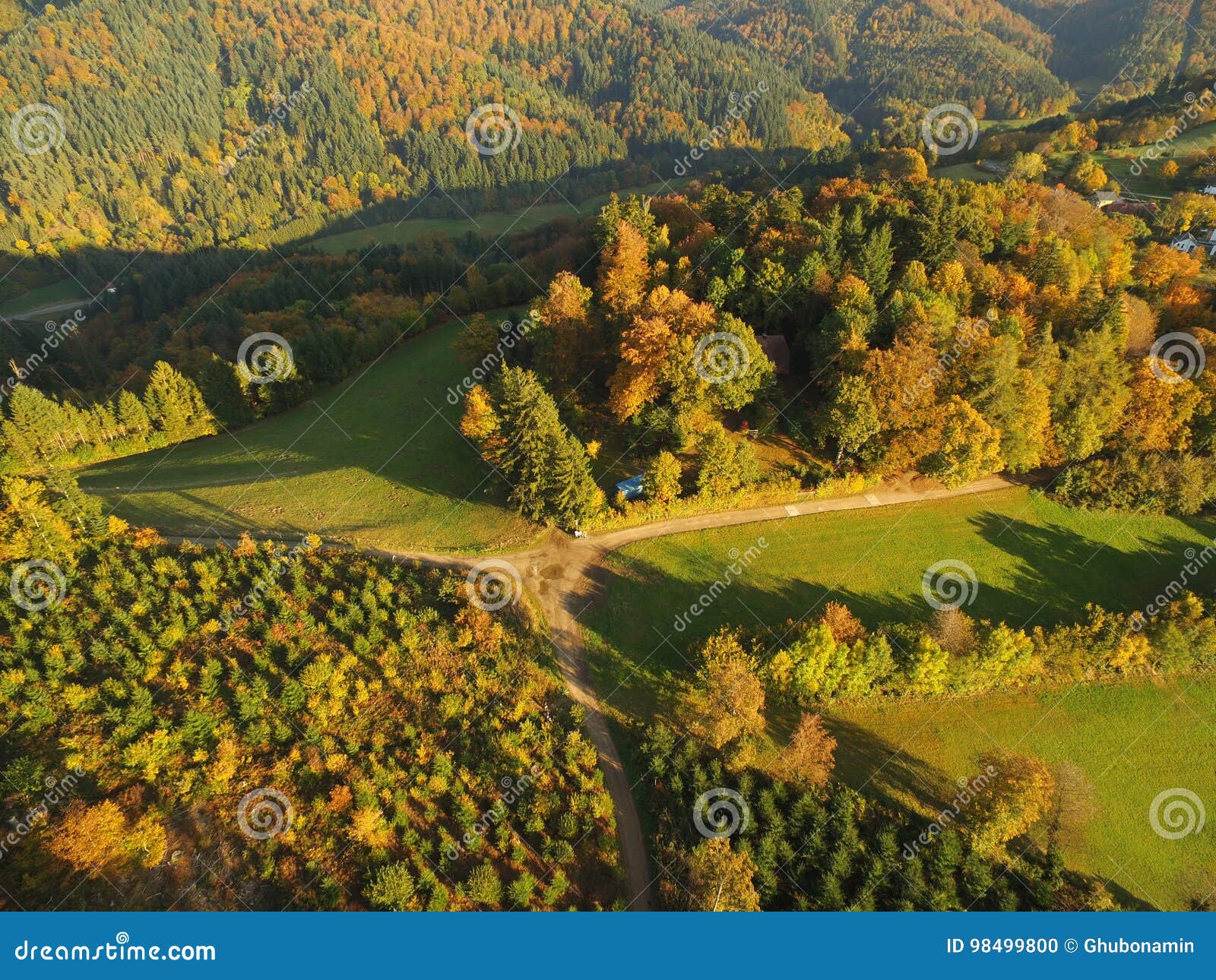 Black forest at autumn stock photo. Image of countryside - 98499800