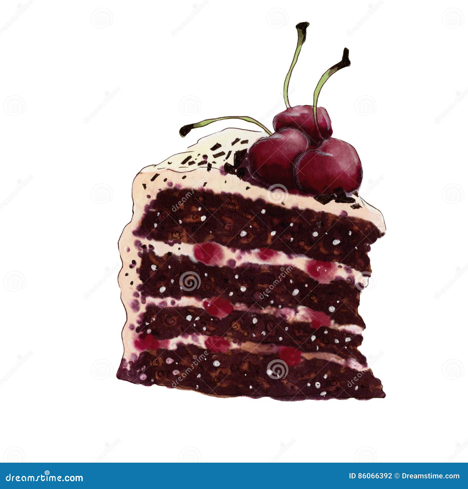 Black Forest Cake stock illustration. Illustration of cherries - 86066392