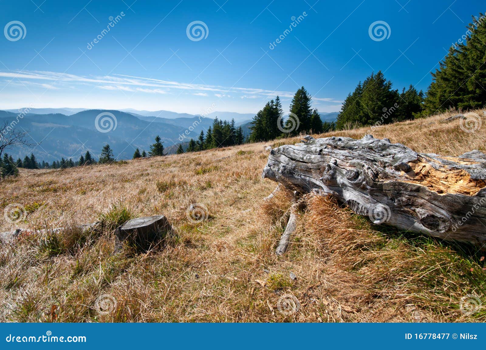 Black Forest Mountain Scene Stock Image - Image of land, tranquil: 16778477
