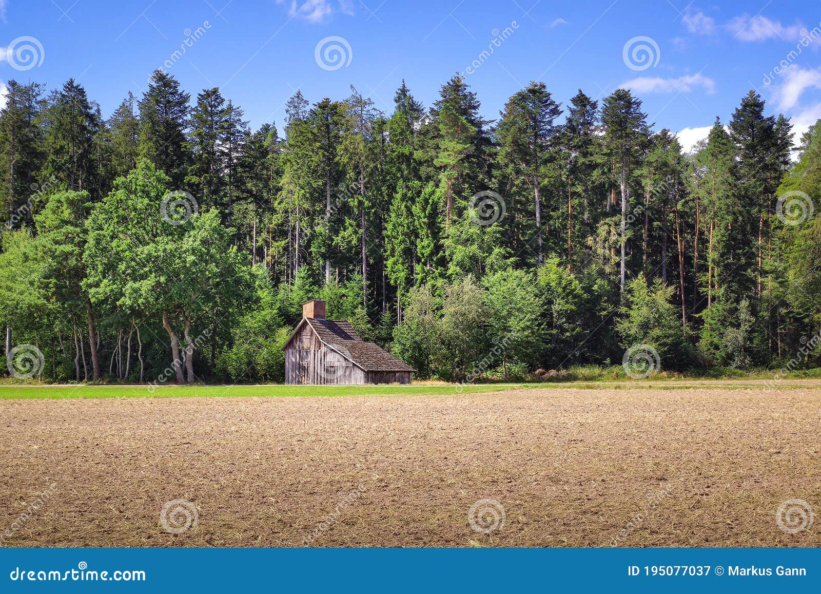 Black Forest Scenery with Wooden Hut Stock Image - Image of woods ...