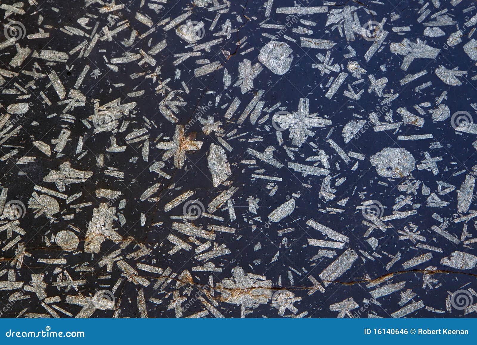 Fossil Stone Texture Background Stock Photography | CartoonDealer.com ...