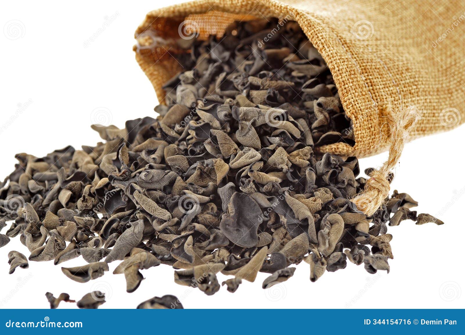 Black Fungus Disease Mucormycosis Symptoms Infographics Vector ...