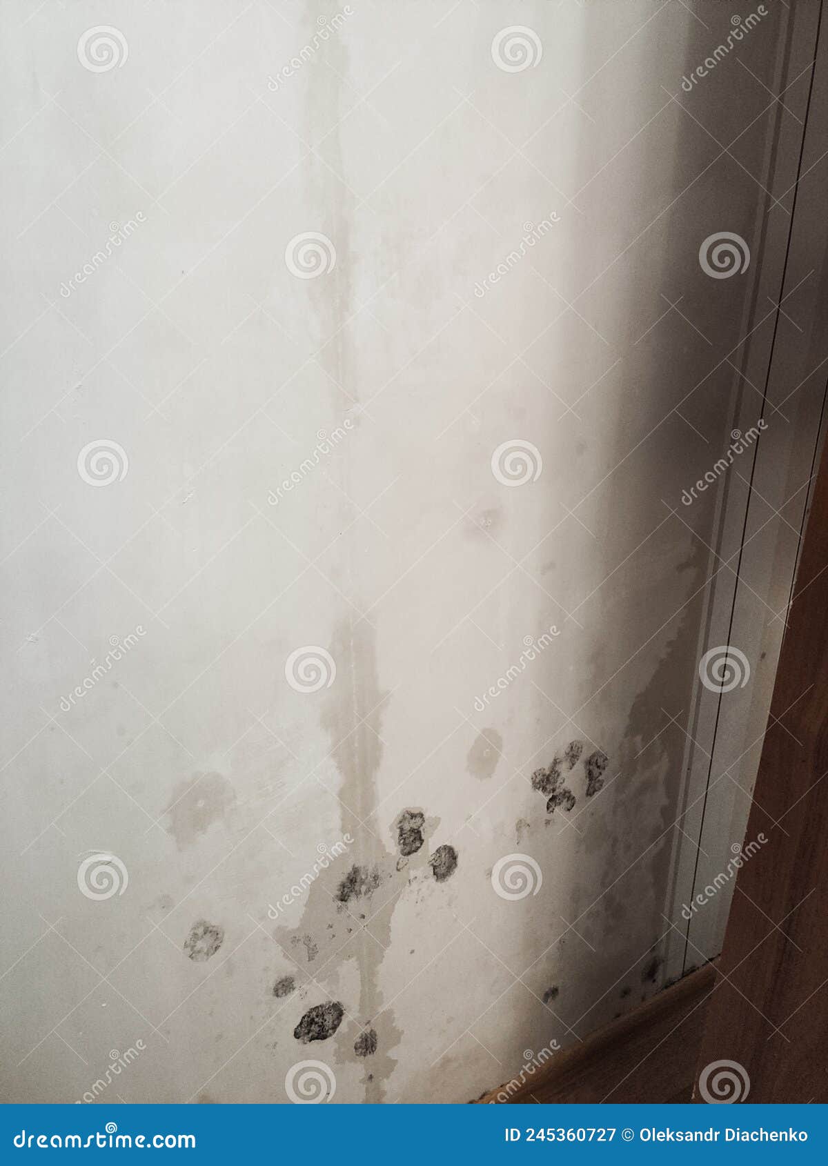 Black Fungus on the White Wall in the Room Stock Image - Image of ...