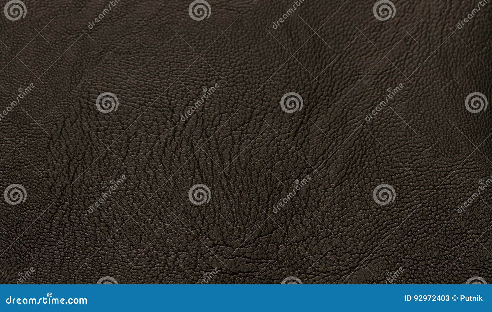 Black Genuine Leather Texsture Background with Grain Surface. Stock ...