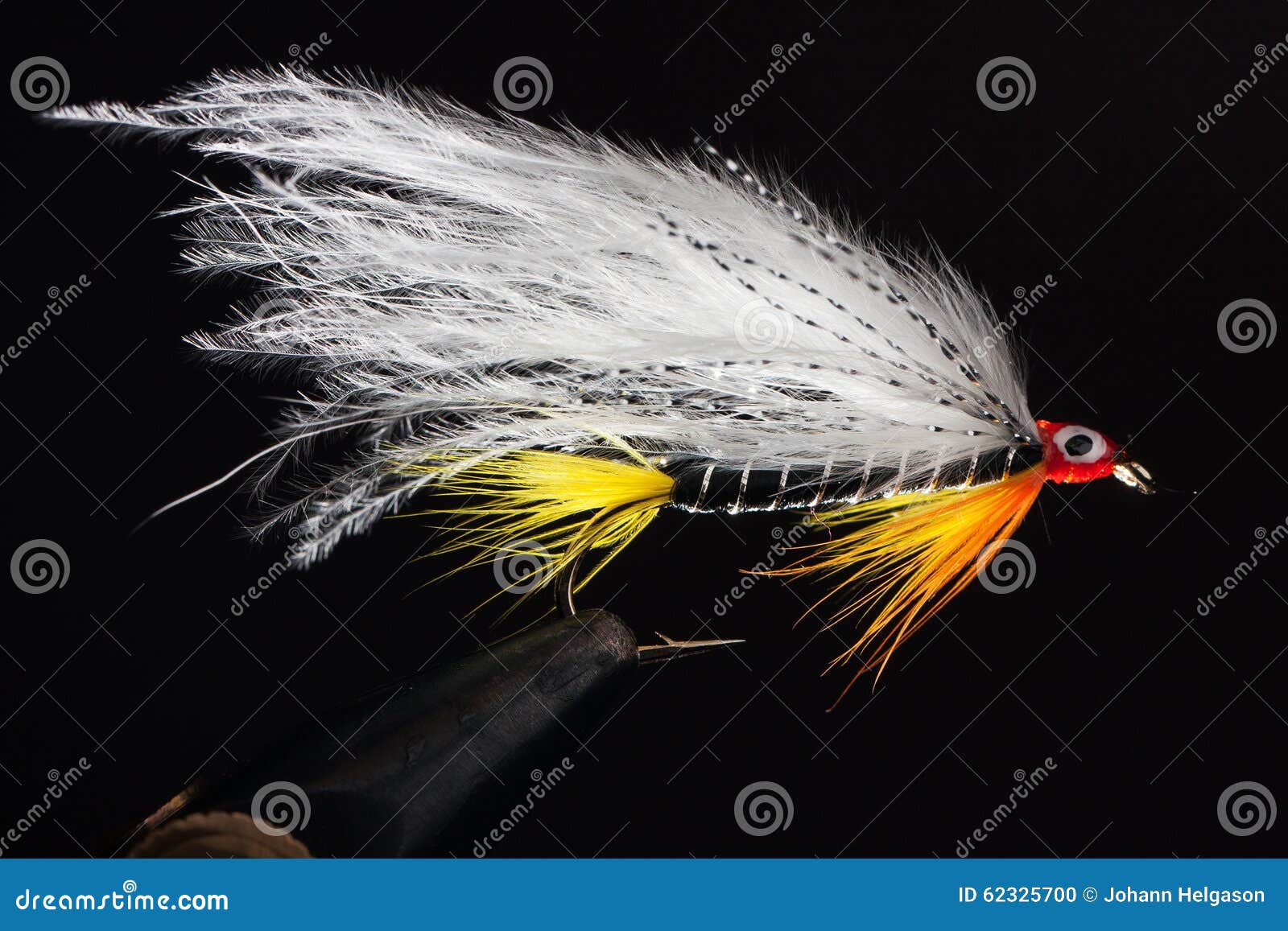 Black Ghost Knifefish Royalty-Free Stock Photography | CartoonDealer ...