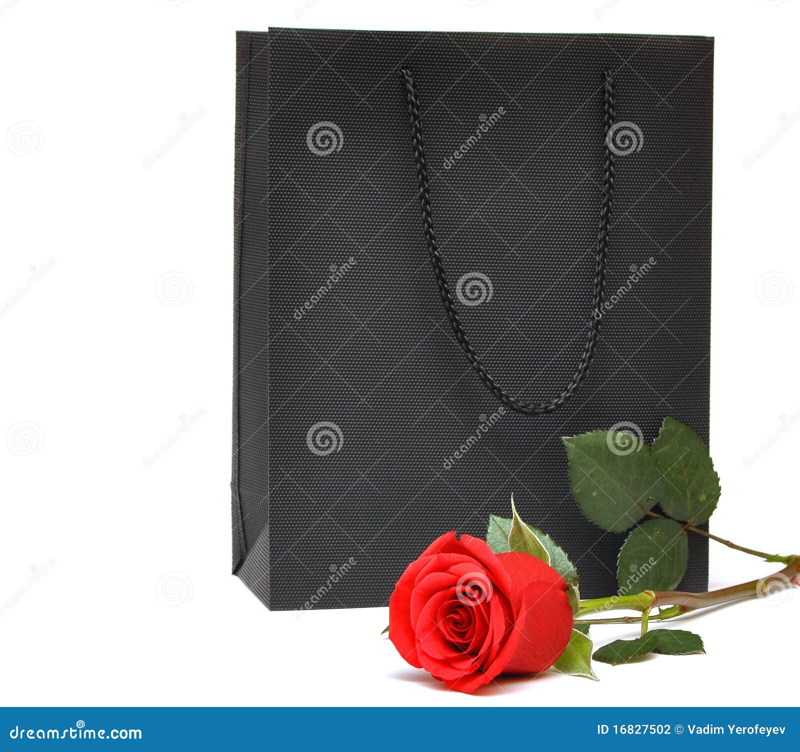 Black Gift Bag With Red Rose Stock Photo - Image of flower, beauty ...