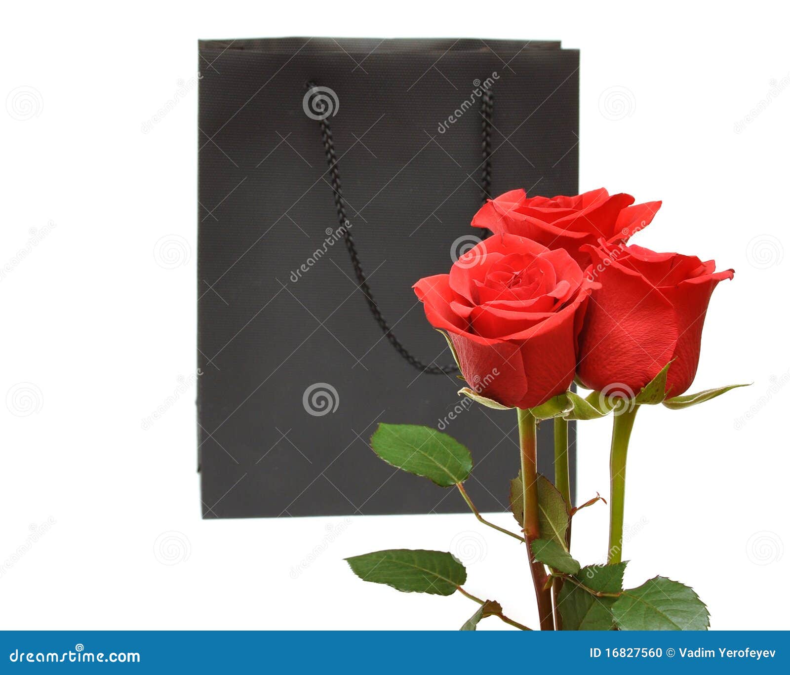 Black Gift Bag with Red Roses Stock Photo - Image of flower, love: 16827560