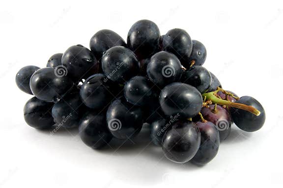 Black grape stock photo. Image of dessert, food, diet - 2257694