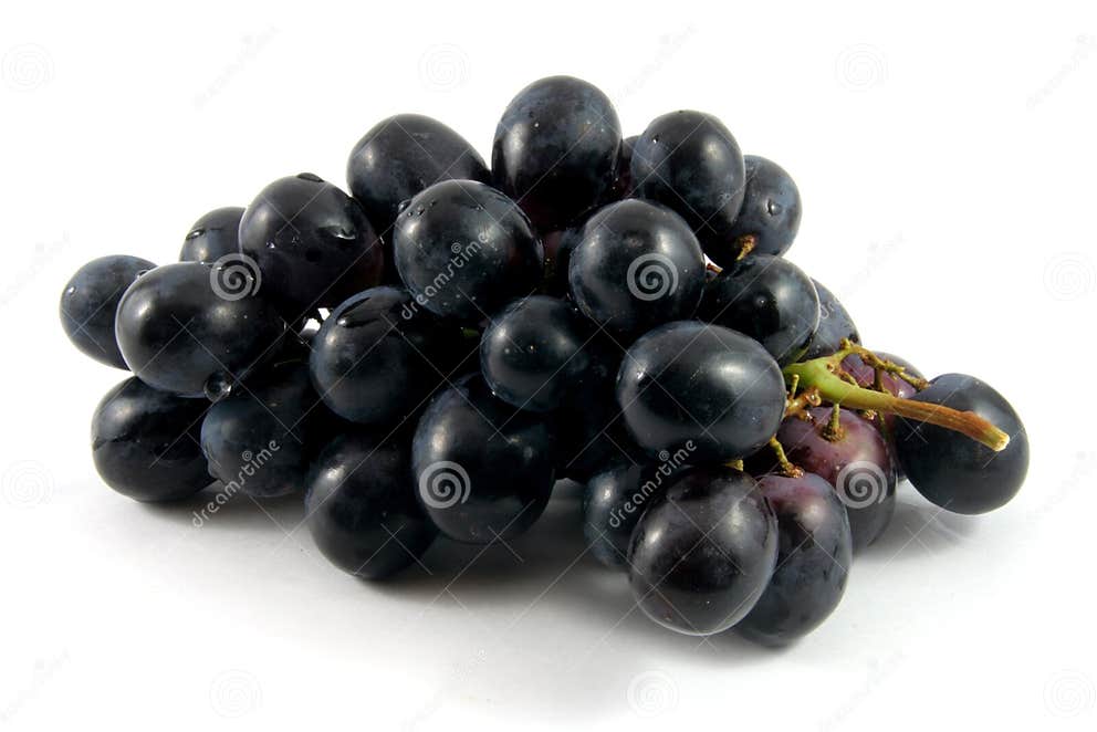 Black grape stock photo. Image of dessert, food, diet - 2257694