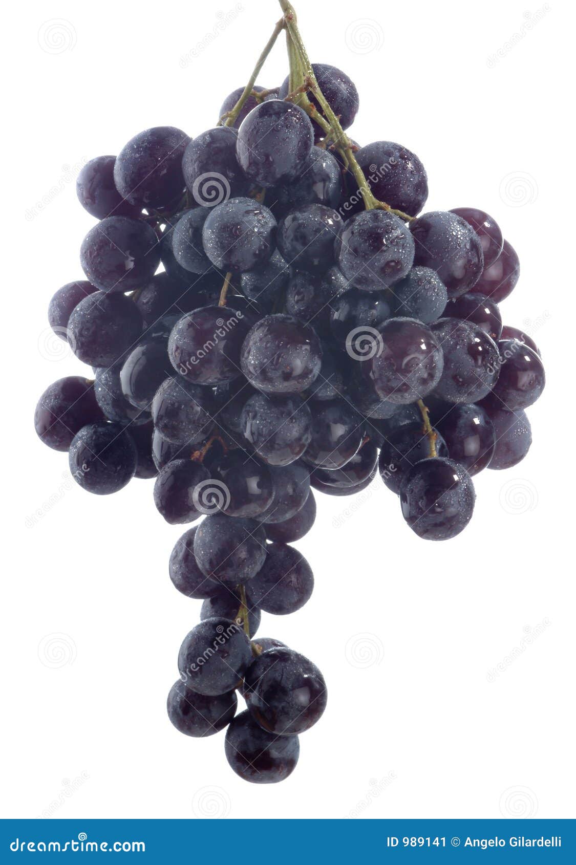 Black grape stock image. Image of grape, bunch, berries - 989141