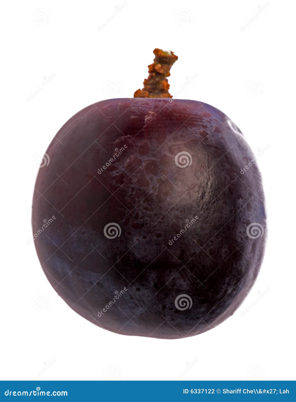 Black Grape Isolated stock photo. Image of delicious, sweet - 6337122