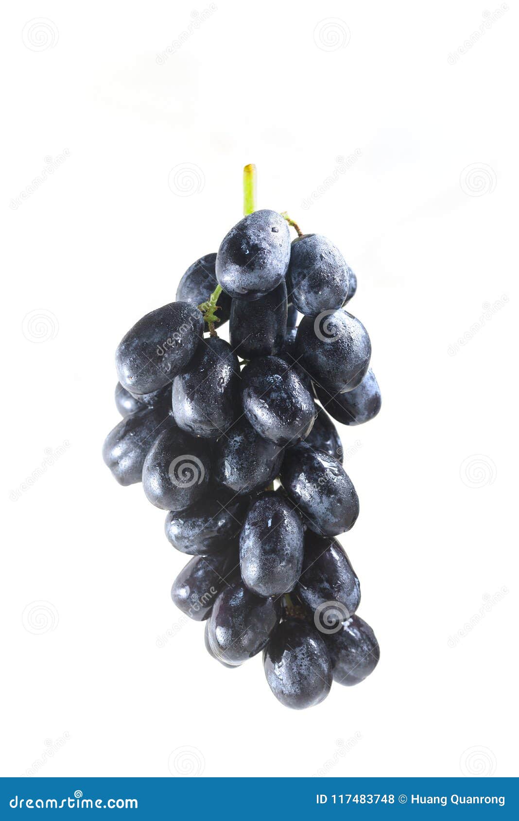 Black grape stock photo. Image of branch, background - 117483748