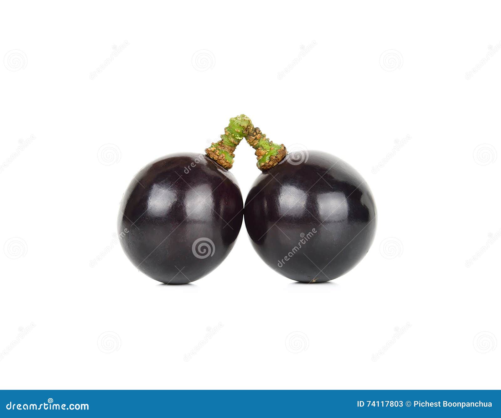 Single Black Grape