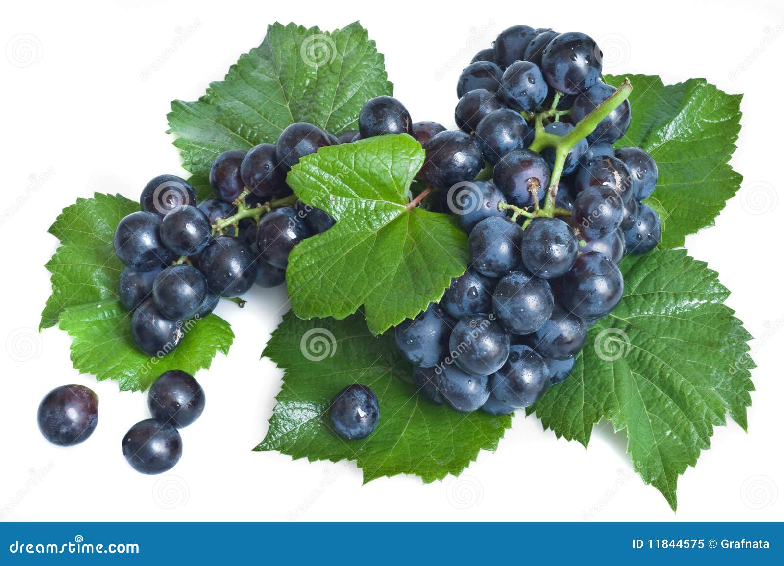 Black Grape Fruit Royalty-Free Stock Photo | CartoonDealer.com #178521501