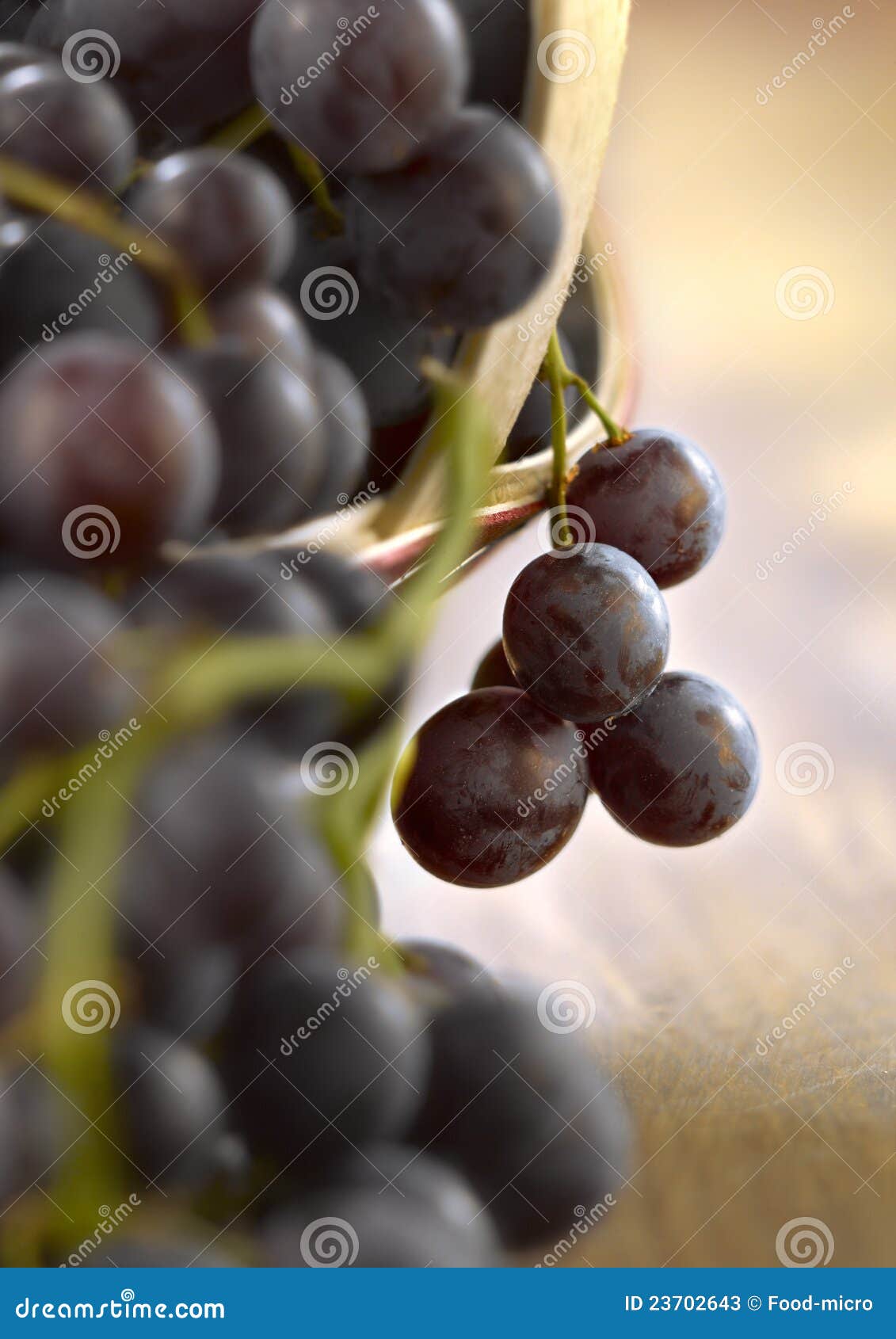 Black grapes stock image. Image of brown, grape, black - 23702643