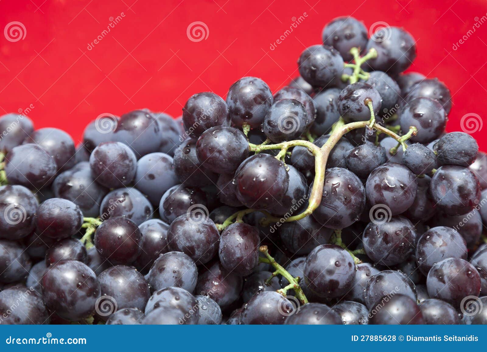Black grapes stock photo. Image of juicy, organic, food - 27885628
