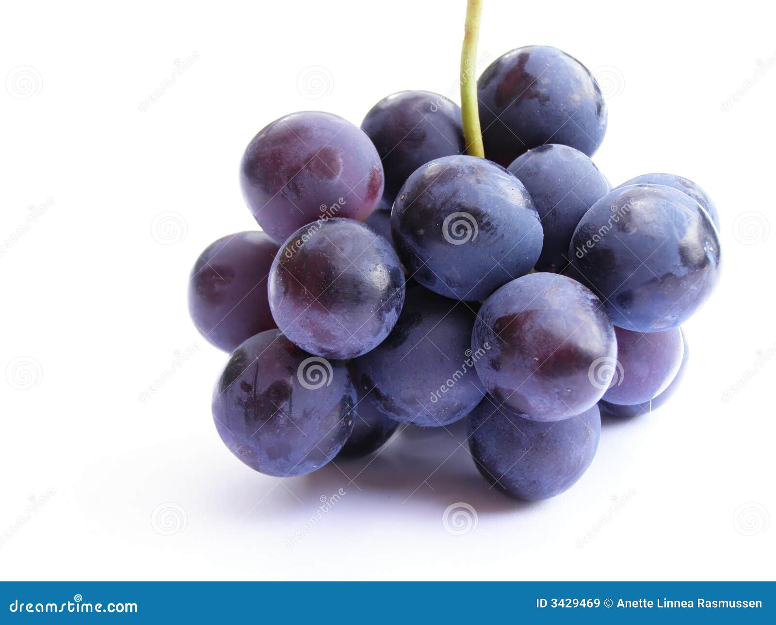 Black grapes stock image. Image of sunlight, light, food - 3429469