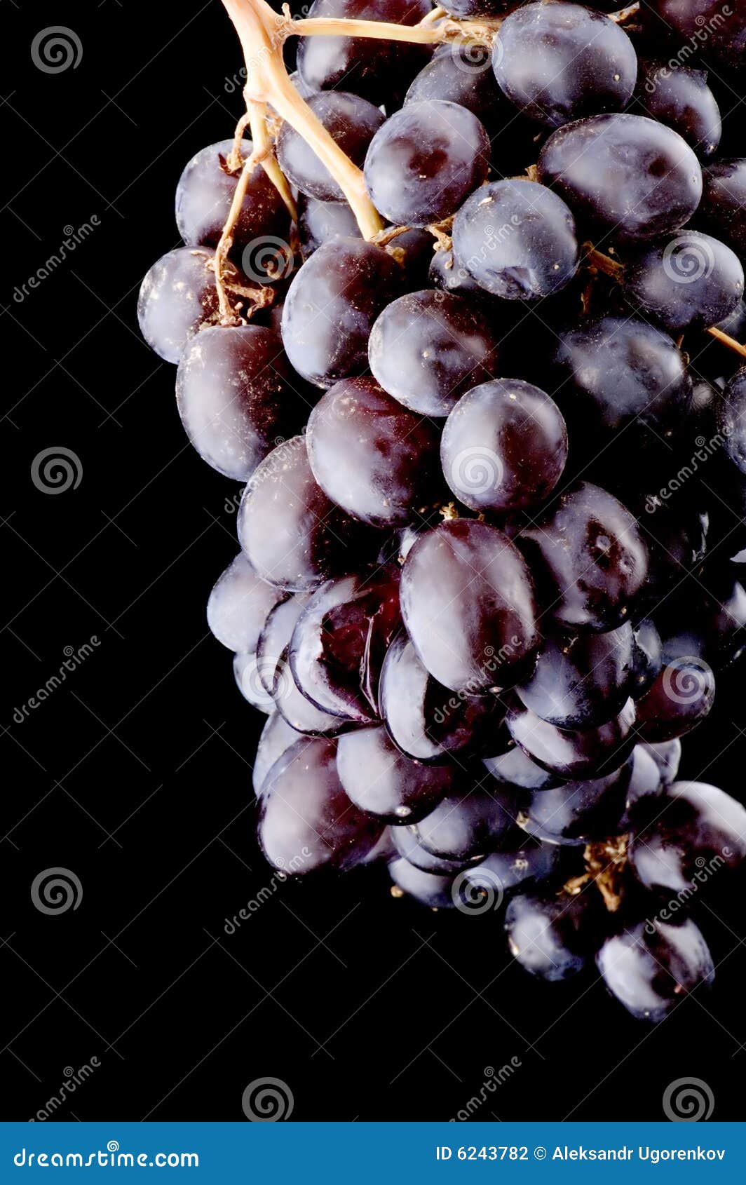Black grapes on black stock photo. Image of bunch, beverage - 6243782
