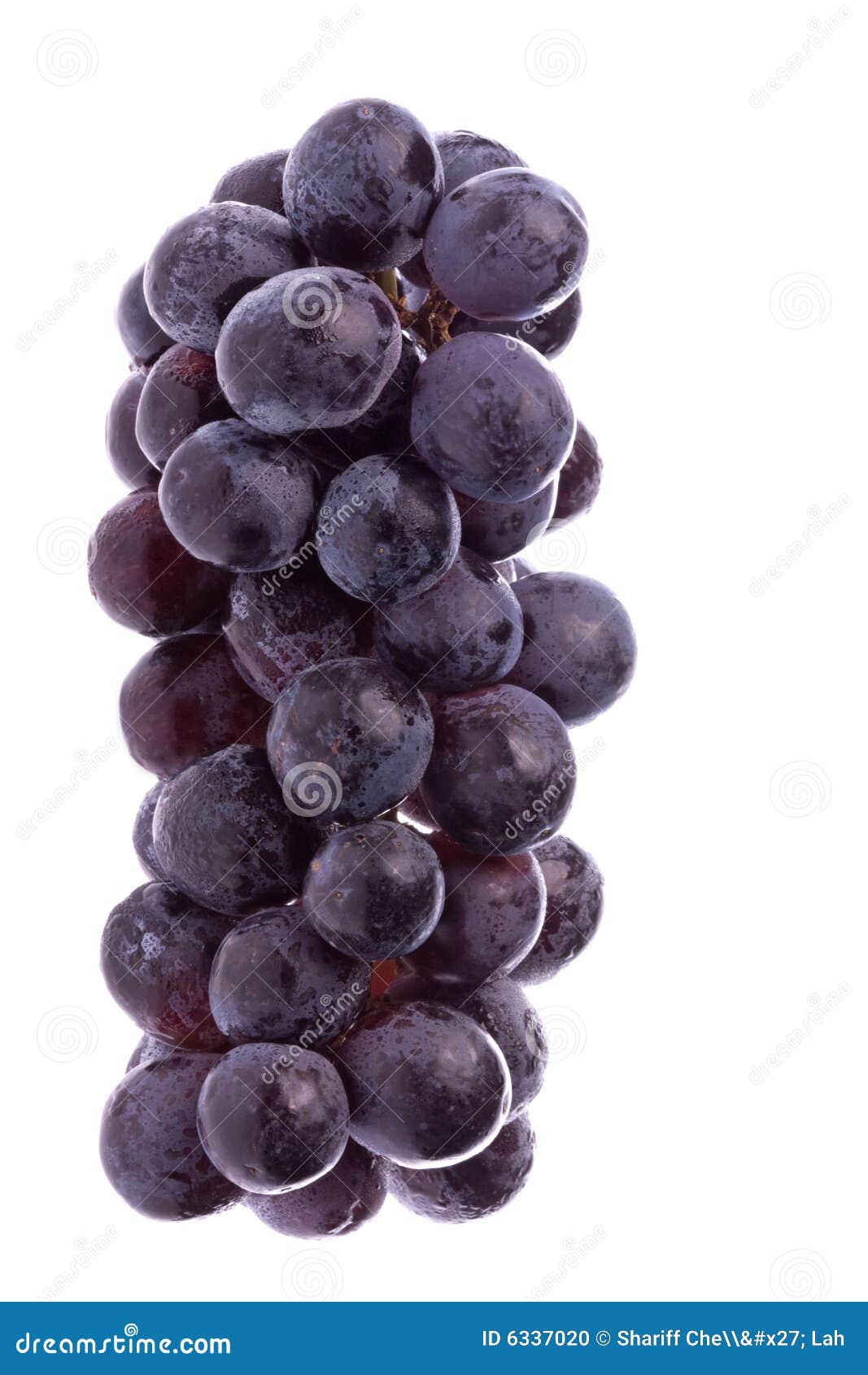 Black Grapes Isolated stock photo. Image of bunches, nutrition - 6337020