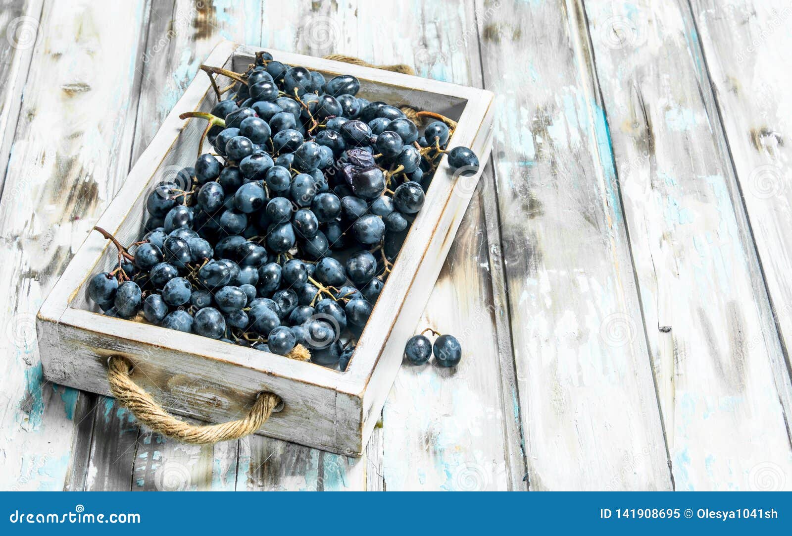 Black grapes on a tray stock image. Image of vine, summer - 141908695