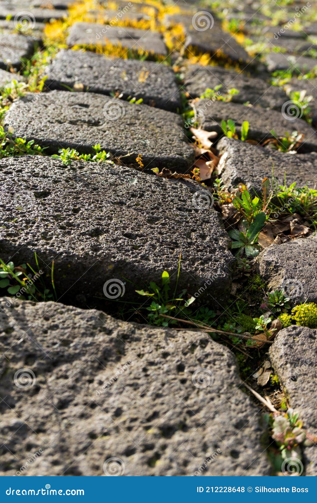 Black Gray Basalt Lava Rectangular Pavement Cobblestones in Square ...