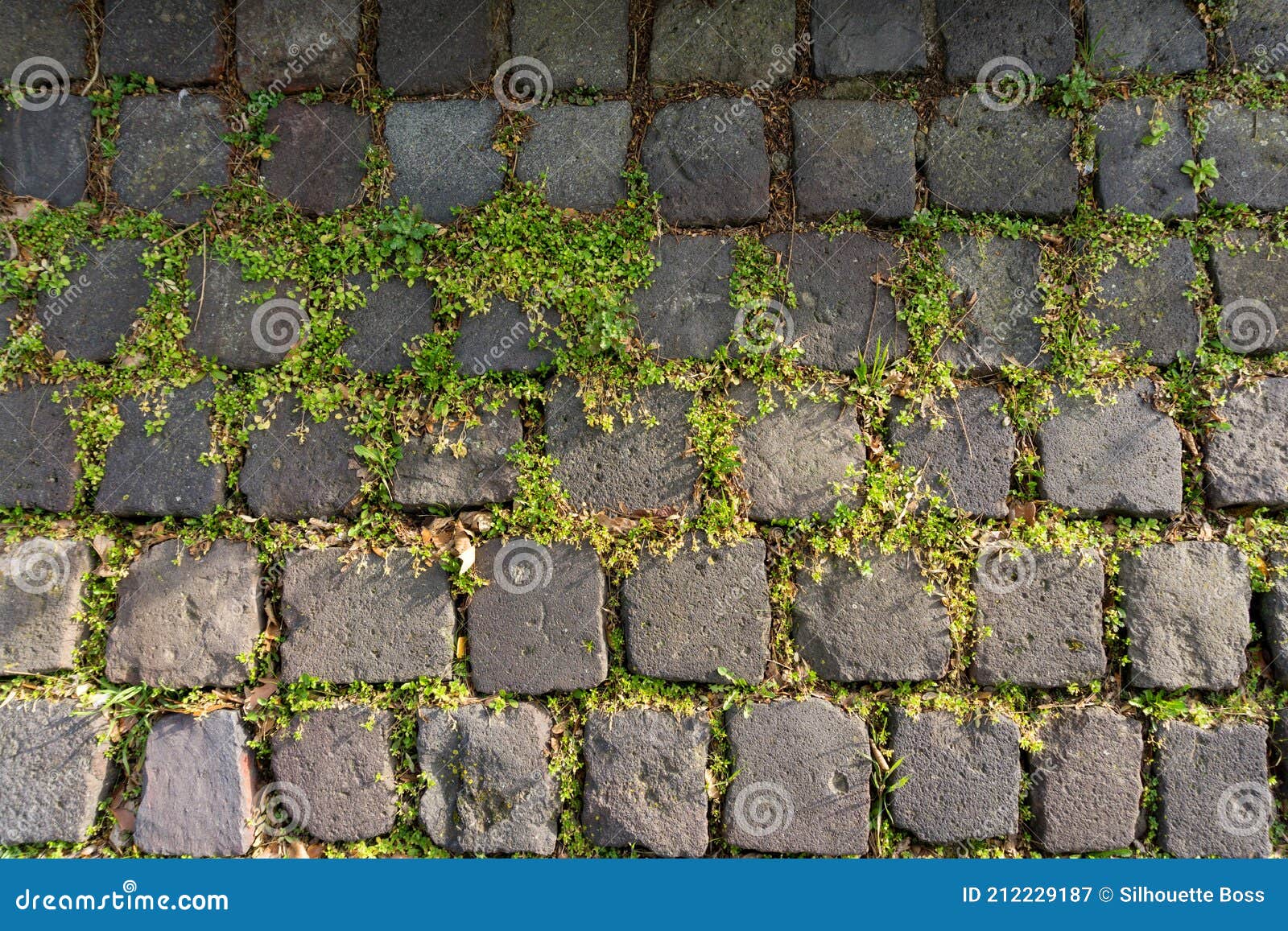 Black Gray Basalt Lava Rectangular Pavement Cobblestones in Square ...