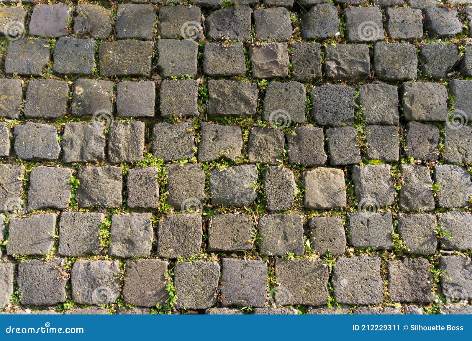 Black Gray Basalt Lava Rectangular Pavement Cobblestones in Square ...