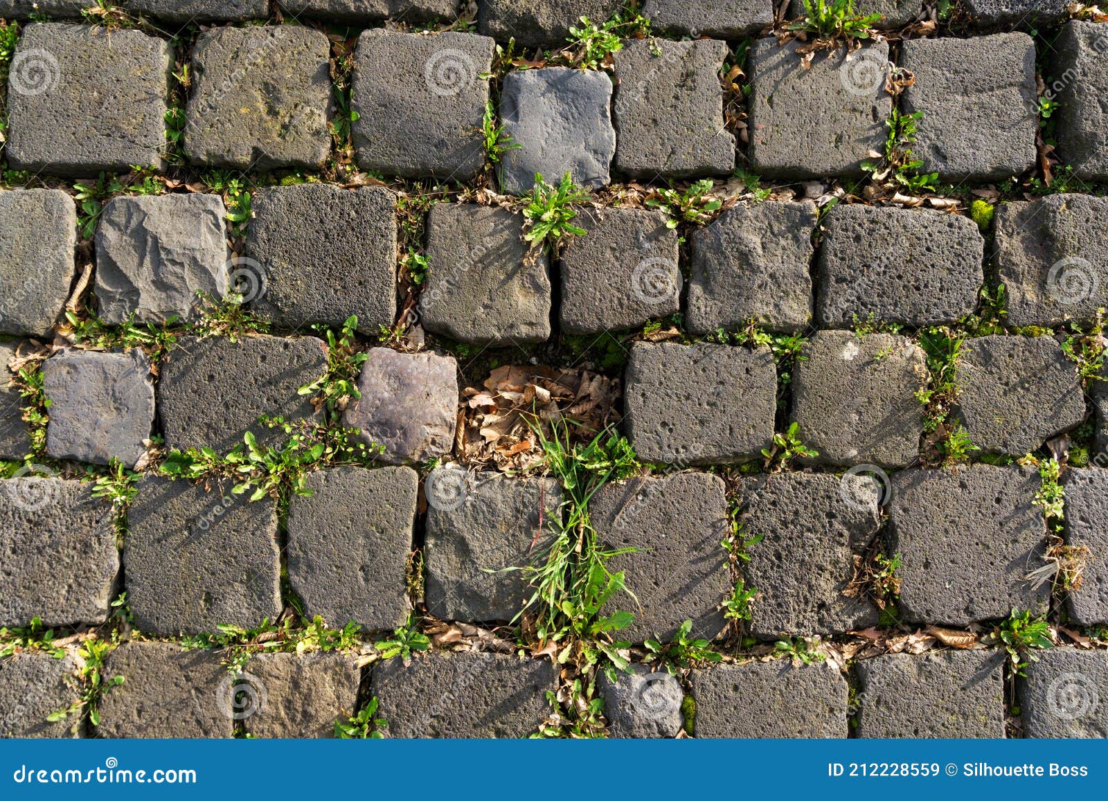 Black Gray Basalt Lava Rectangular Pavement Cobblestones in Square ...