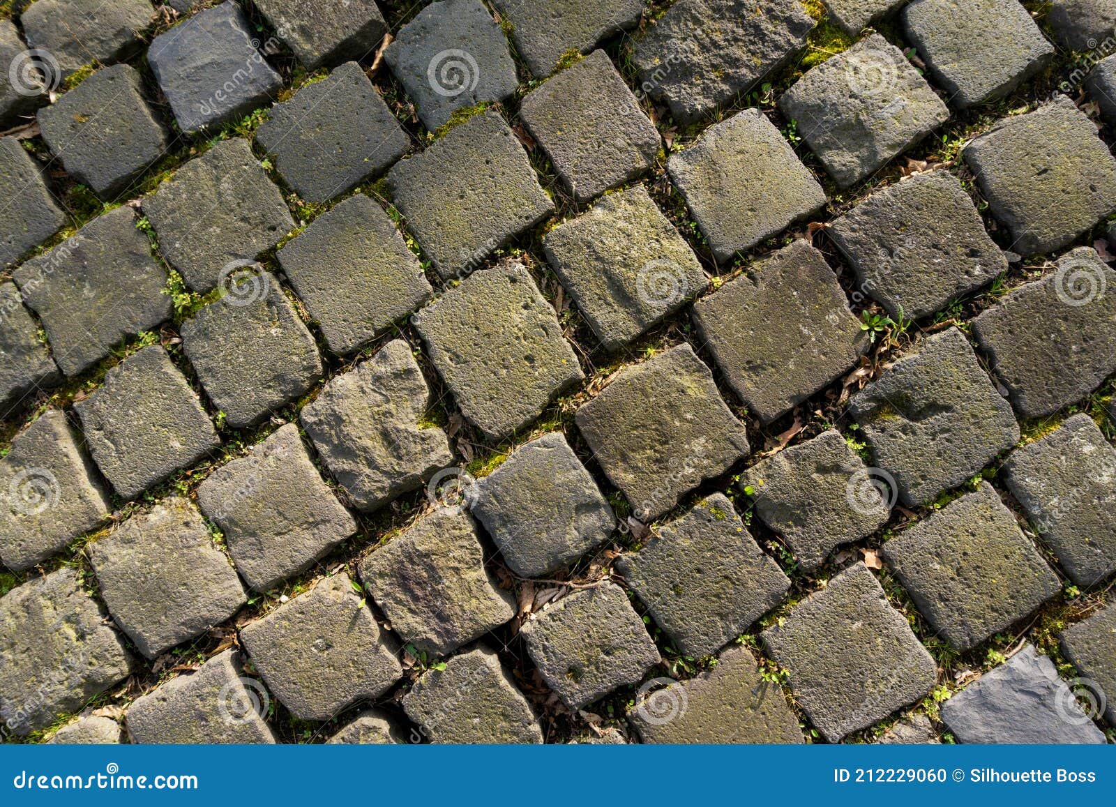 Black Gray Basalt Lava Rectangular Pavement Cobblestones in Square ...